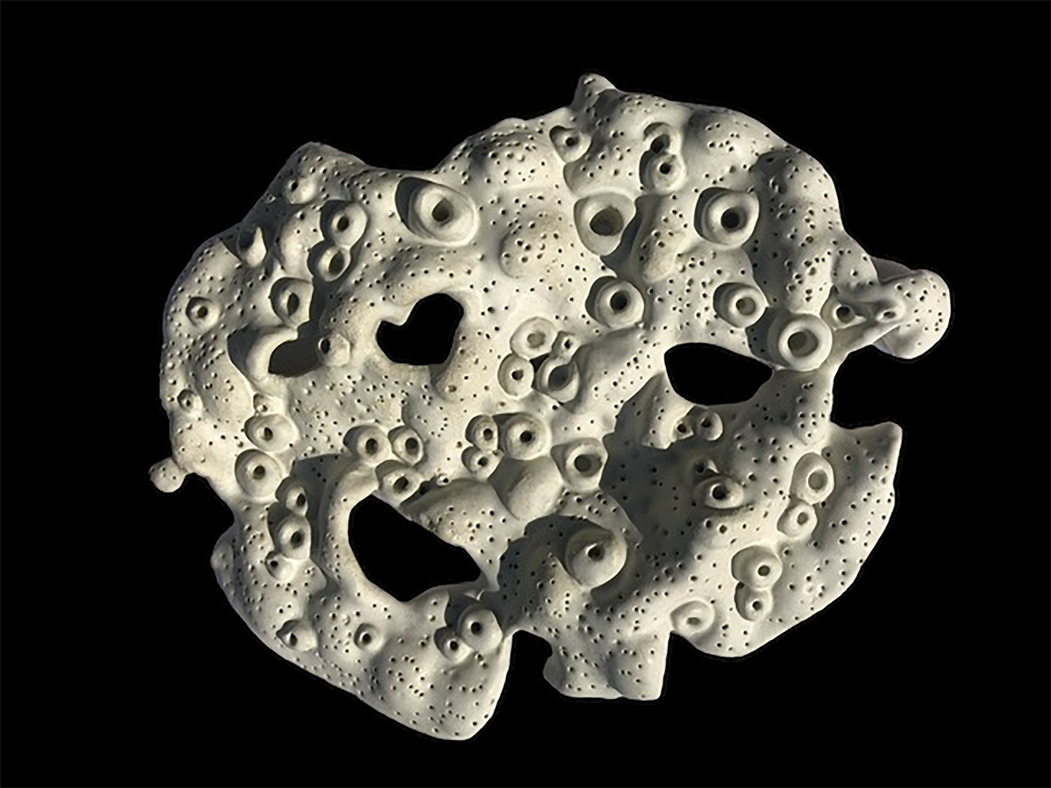 Nigloo Reef • The G Contemporary