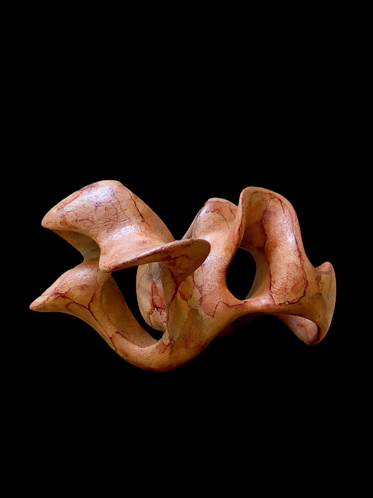 Evolve • The G Contemporary